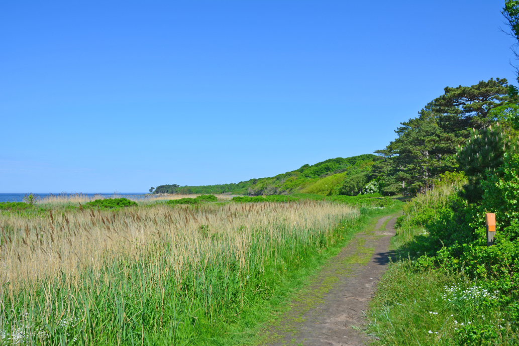 Naturreservat Kulla Gunnarstorp | Helsingborg berättar